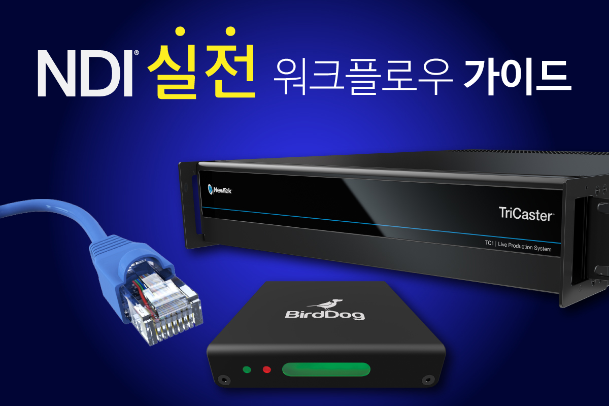 NDI® 실전 워크플로우 가이드 – DVNEST